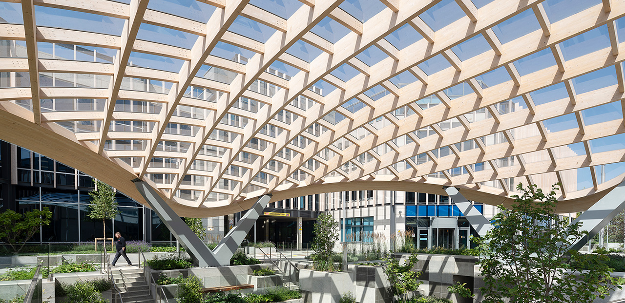 Campus Canopy
